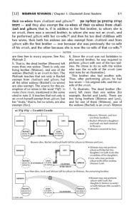 Schottenstein Edition of the Mishnah Elucidated - Seder Nashim 3 Volume ...