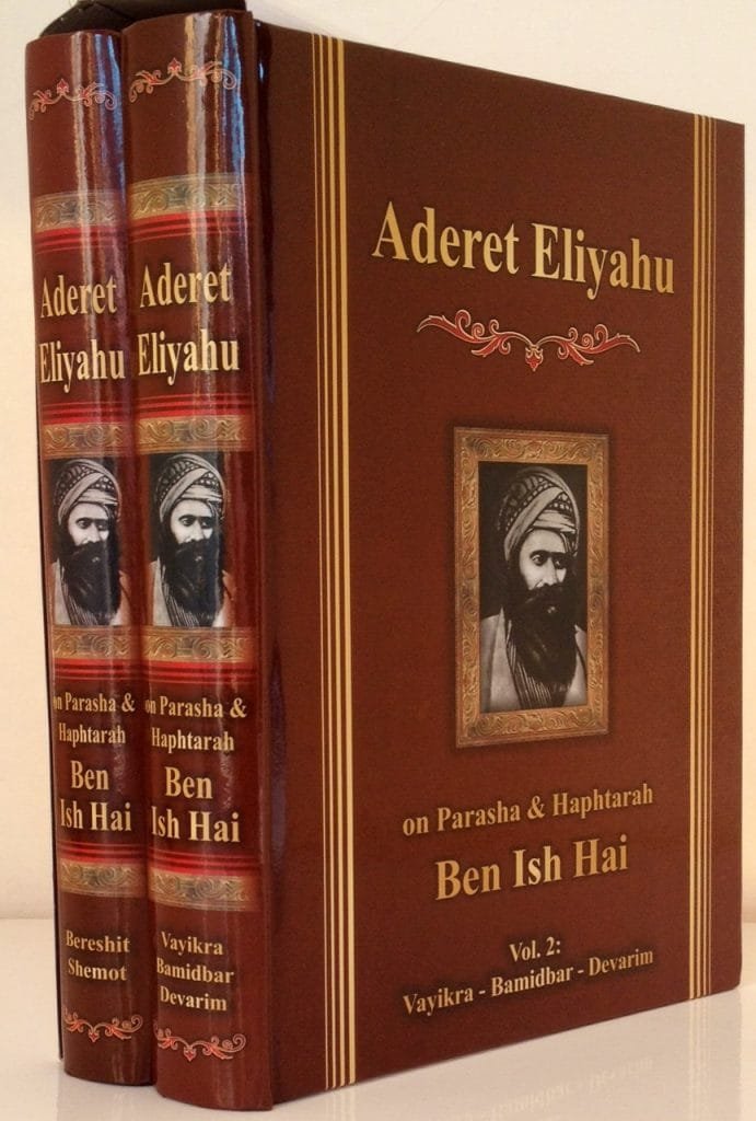 Aderet Eliyahu On Parasha & Haftarot 2 Volume Set